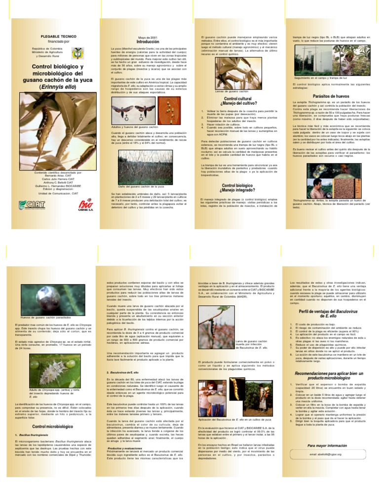 Gusano Cachon PDF | PDF | Control biológico de plagas | Insectos
