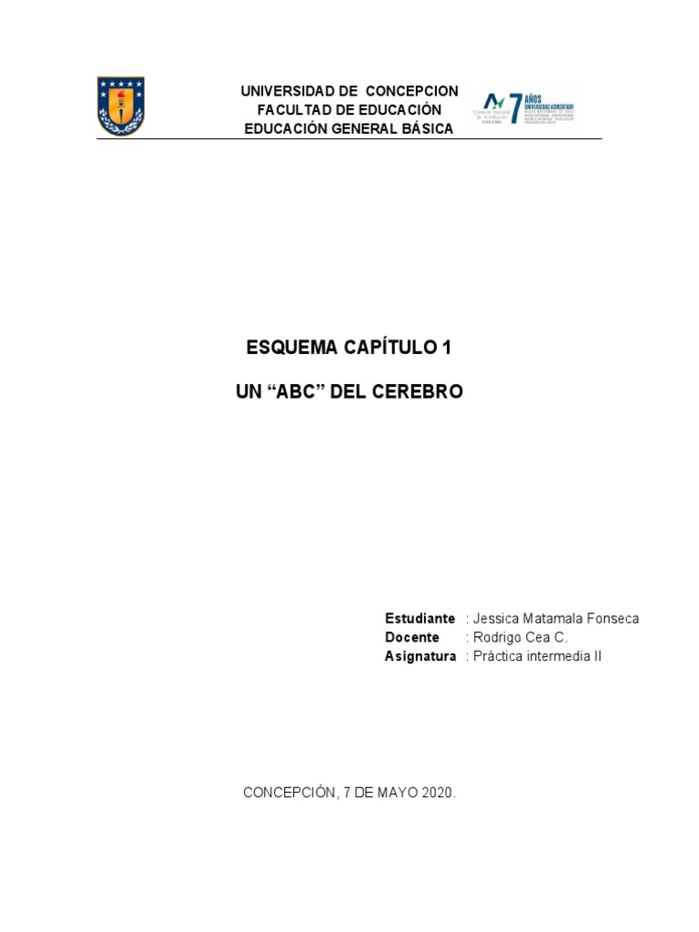 Esquema Capítulo 1 Un ABC Del Cerebro | PDF | Cerebro | Procesos mentales
