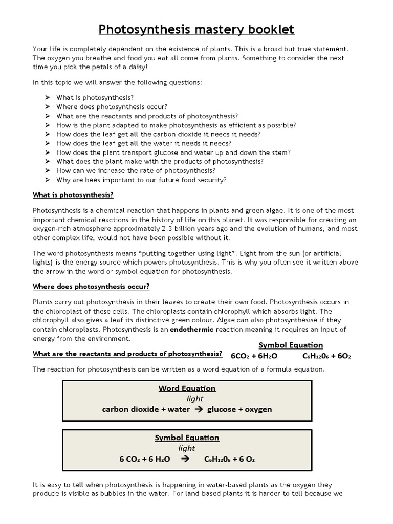 Photosynthesis Mastery Booklet | PDF | Photosynthesis | Stoma