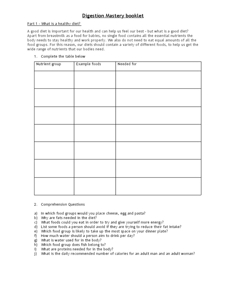 Digestion Mastery Booklet | PDF | Digestion | Human Digestive System