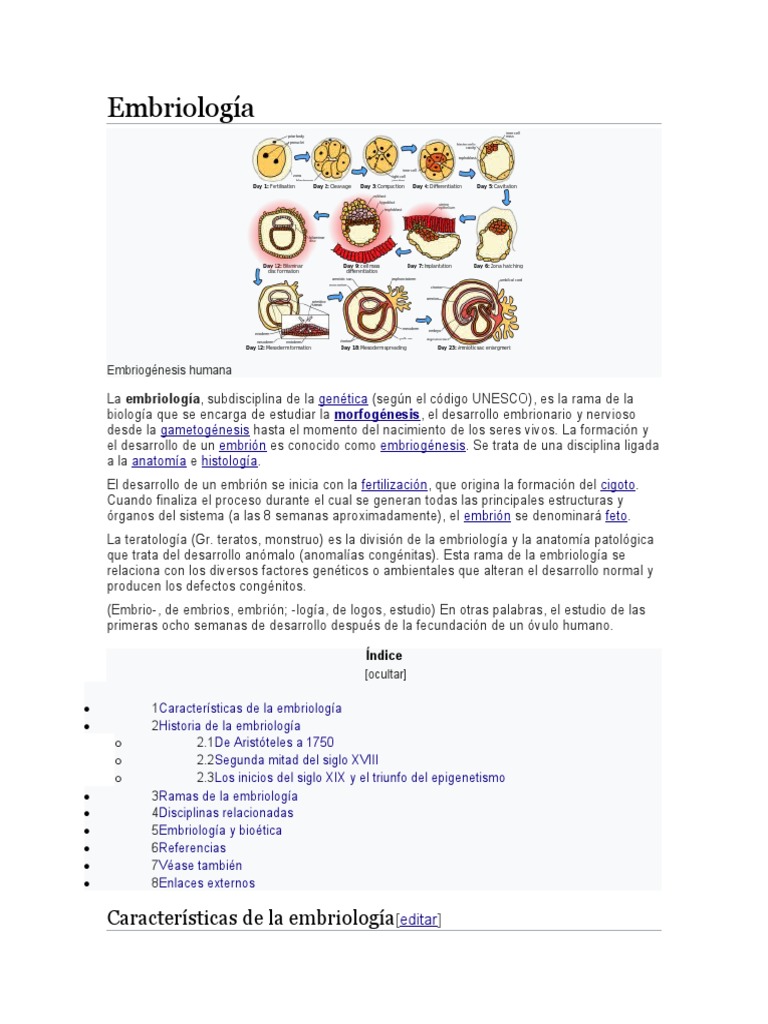 Embriología | PDF | Interacciones biológicas | Anatomía
