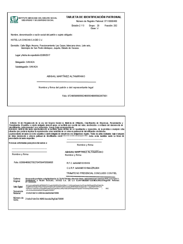 Tarjeta de Identificación Patronal Por Internet | Descargar gratis PDF | Información del ...