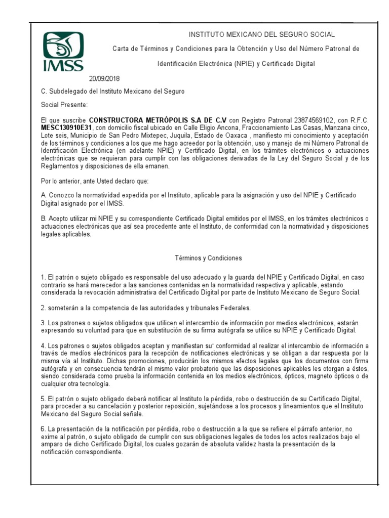 Carta de Términos y Condicones para La Obtención y Uso Del Npie Por Internet | PDF | Informática ...