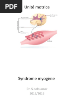 Comprendre le syndrome myogène | PDF | Contraction du muscle | Muscle