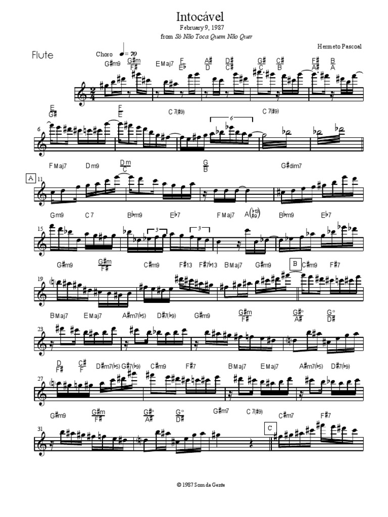 Intocavel - Hermeto Pascoal | PDF