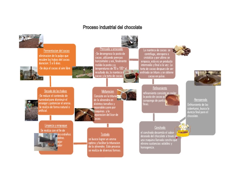 Proceso Industrial Del Chocolate | PDF | Sólidos de cacao | Chocolate