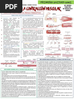 El Papel Del Calcio en La Contracción Muscular | PDF | Músculo ...