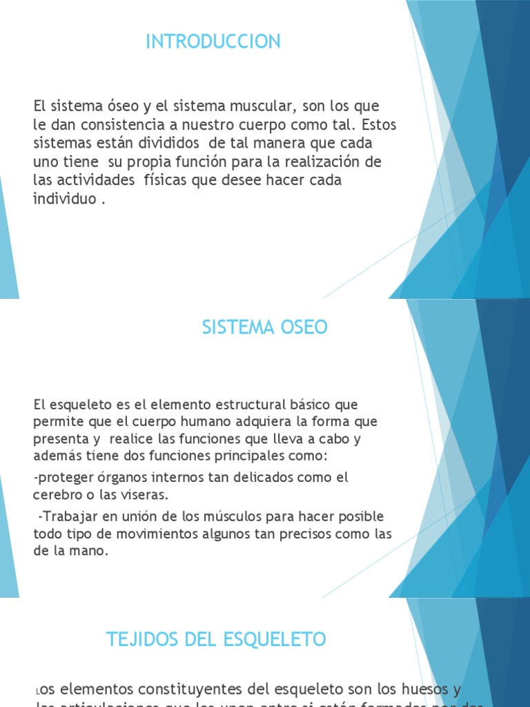 SISTEMA OSEO y Muscular | PDF | Hueso | Esqueleto