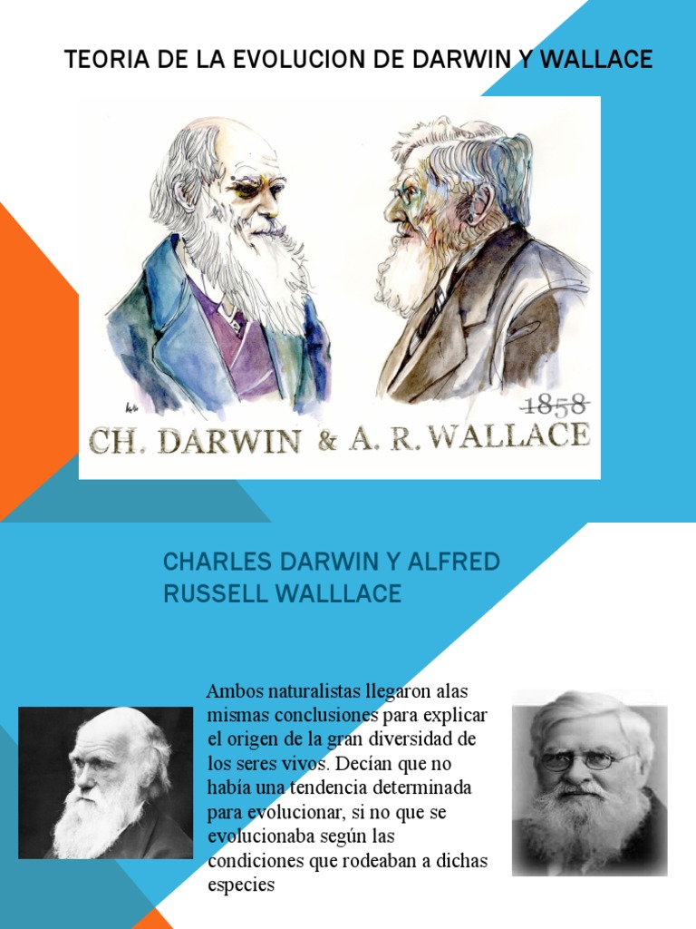Teoria de La Evolucion de Darwin y Wallace | PDF | darvinismo ...