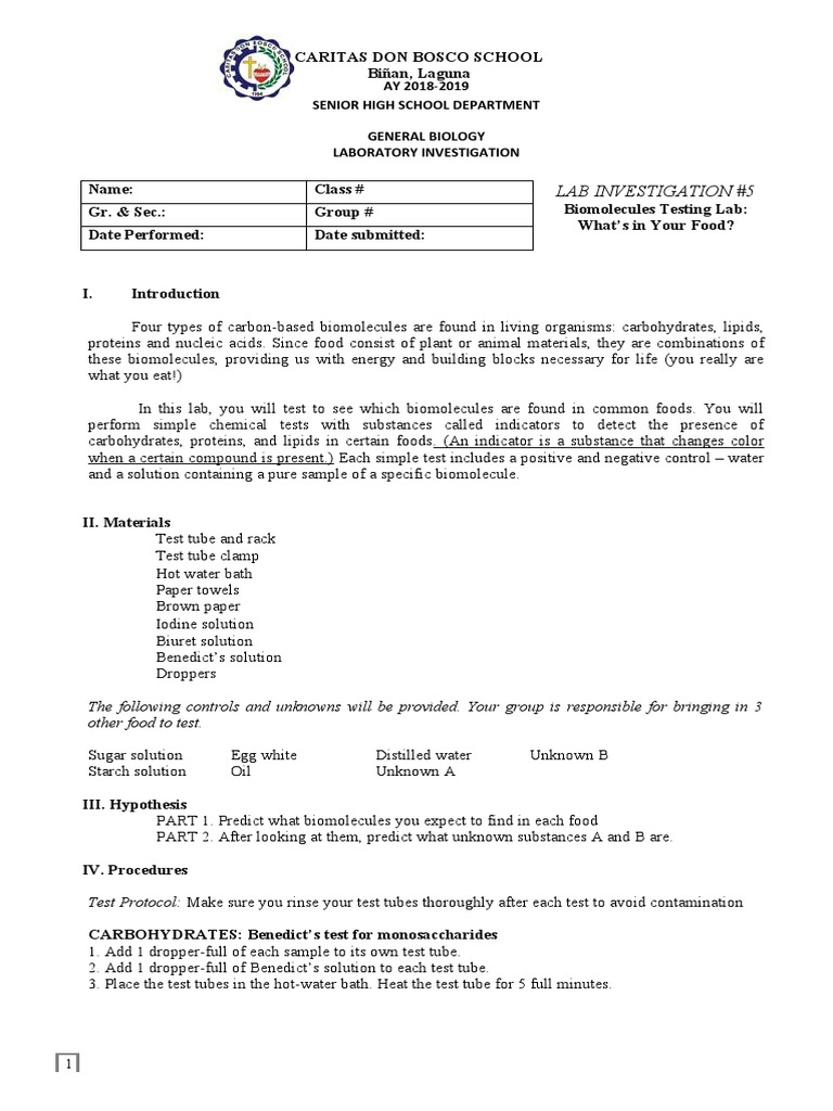 Lab Investigation #5: AY 2018-2019 Senior High School Department ...