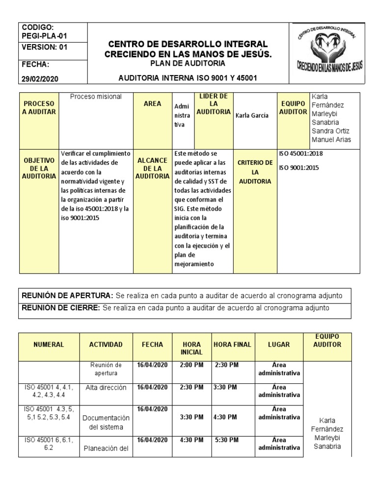 Plan Auditoria Combinada | PDF | Auditoría | Gestión de Procesos de Negocio
