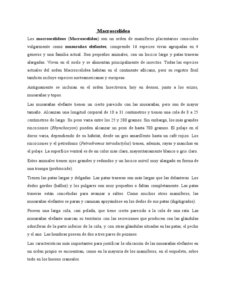 Macroscelidea | PDF | Mamíferos | África