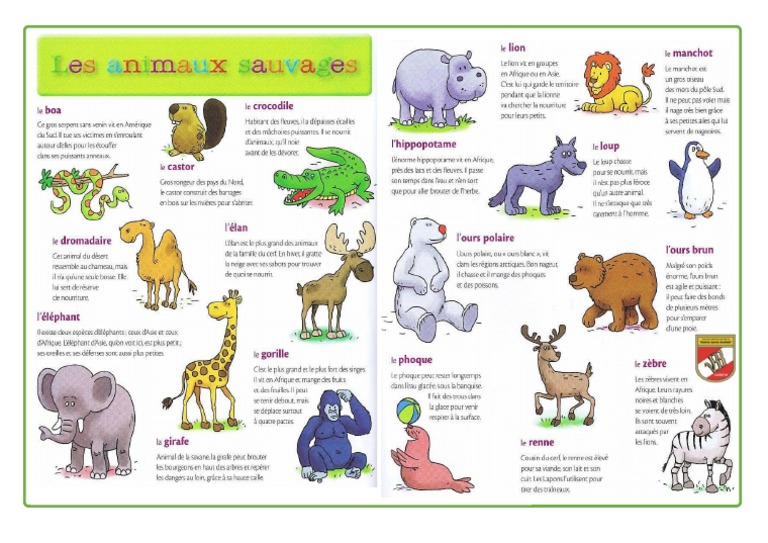 2do Francés - 09 - Les Animaux Sauvages Ficha | PDF