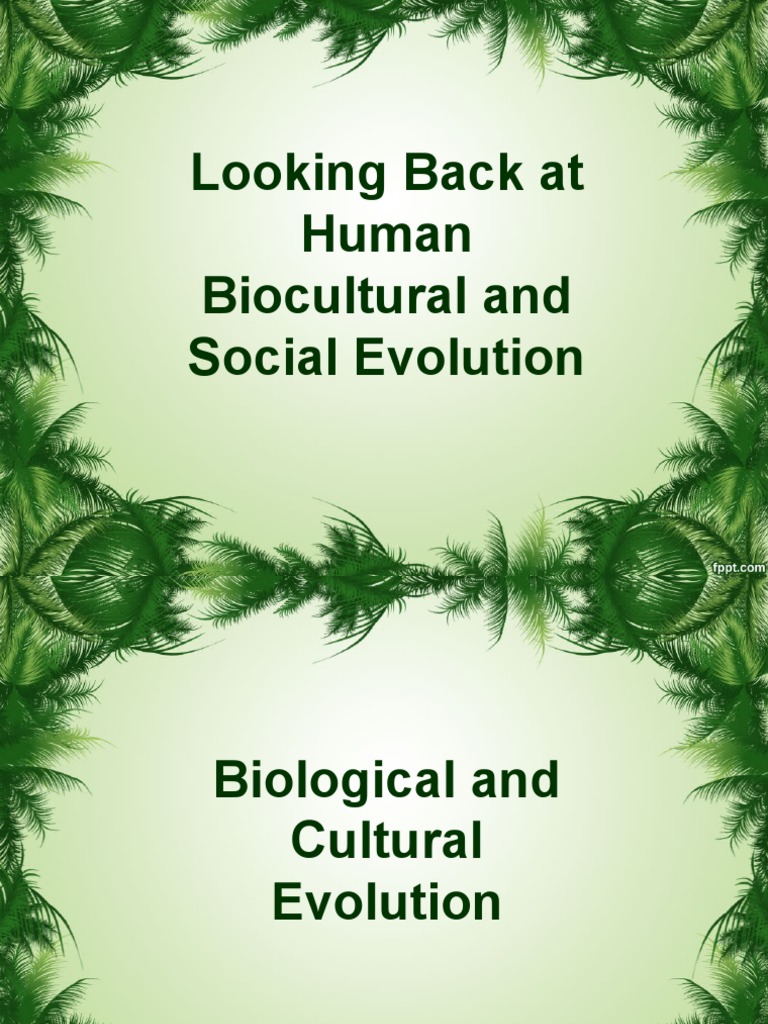 Human Biocultural Evolution Overview | PDF | Homo | Neolithic