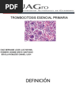 Compresion Radicular. | PDF | La columna vertebral | Sistema ...