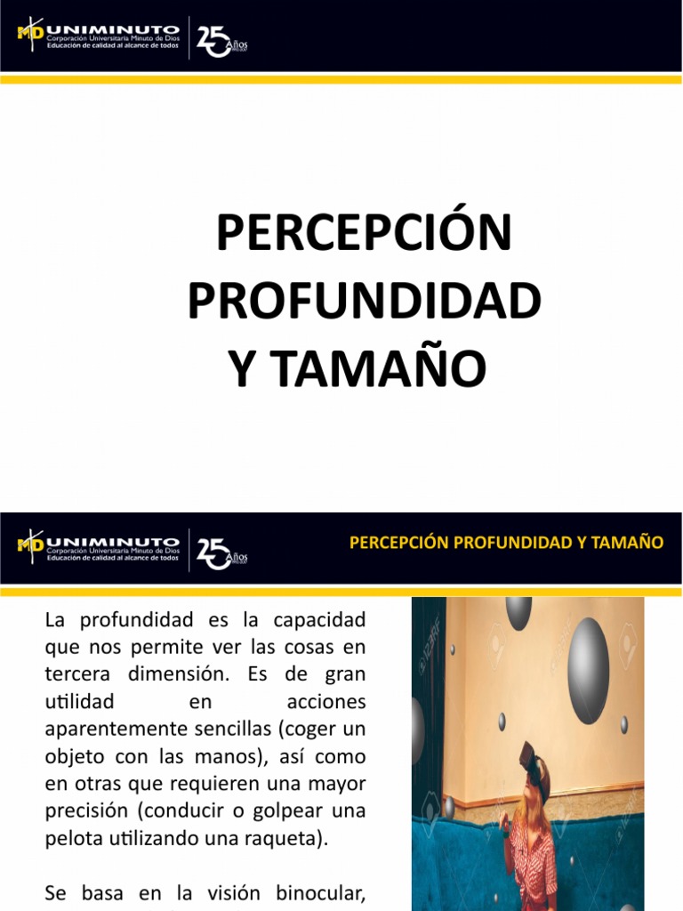 Percepción Profundidad y Tamaño | PDF | Ojo humano | Ojo