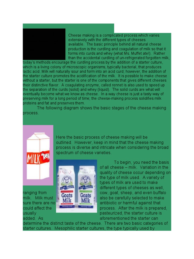 The Intricate Process of Cheese Making: An Overview of the Key Stages ...
