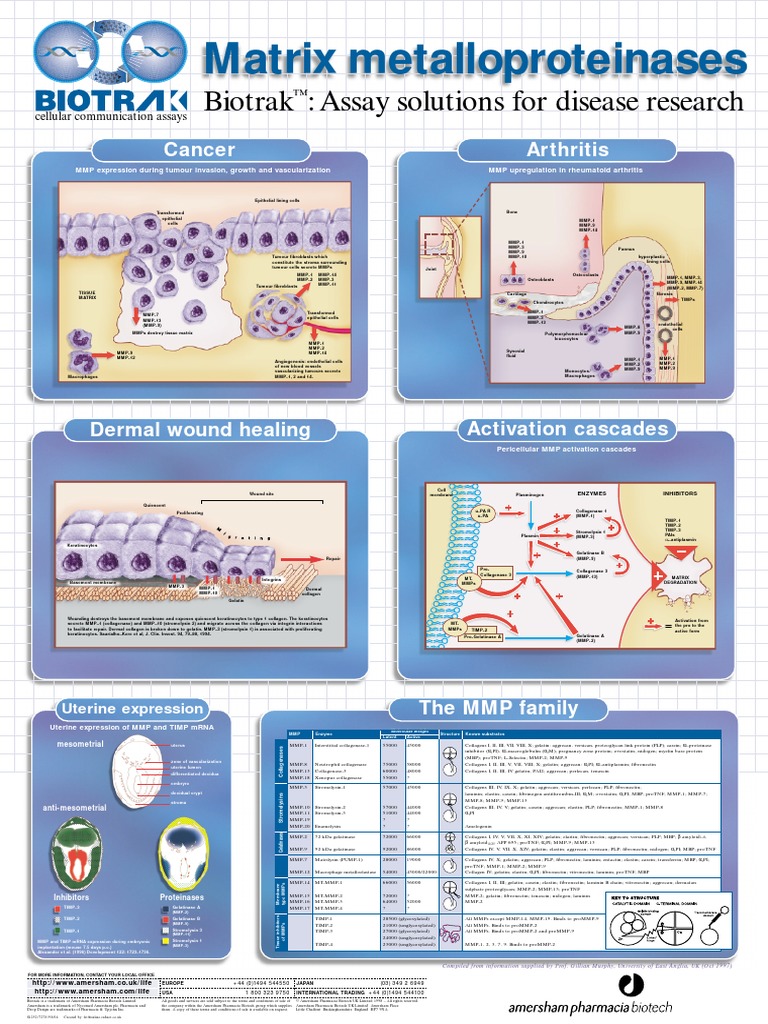 Biotrak: Assay Solutions For Disease Research: Matrix ...