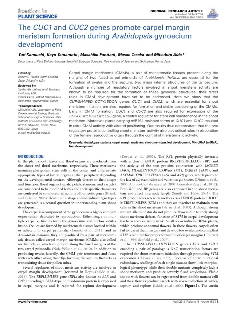 The CUC1 and CUC2 Genes Promote Carpel Margin Meristem Formation During ...