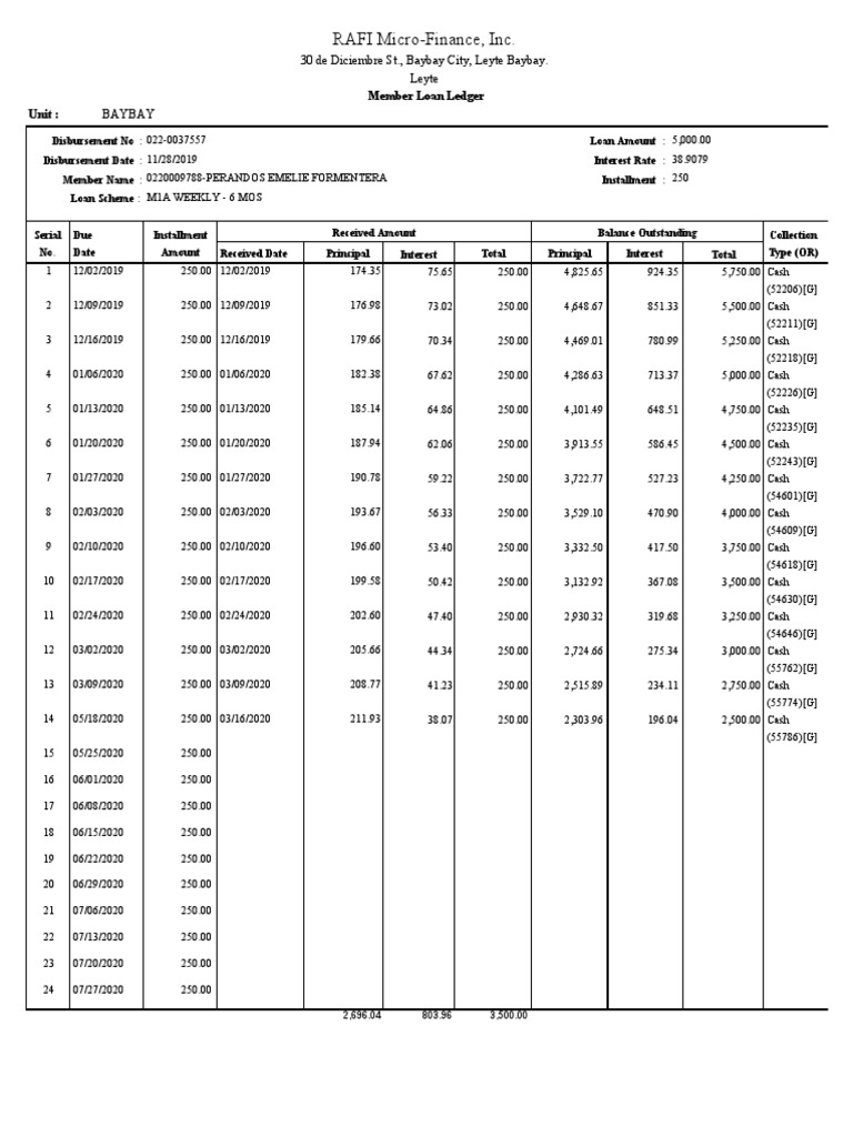 RAFI Micro-Finance, Inc.: 30 de Diciembre ST., Baybay City, Leyte ...