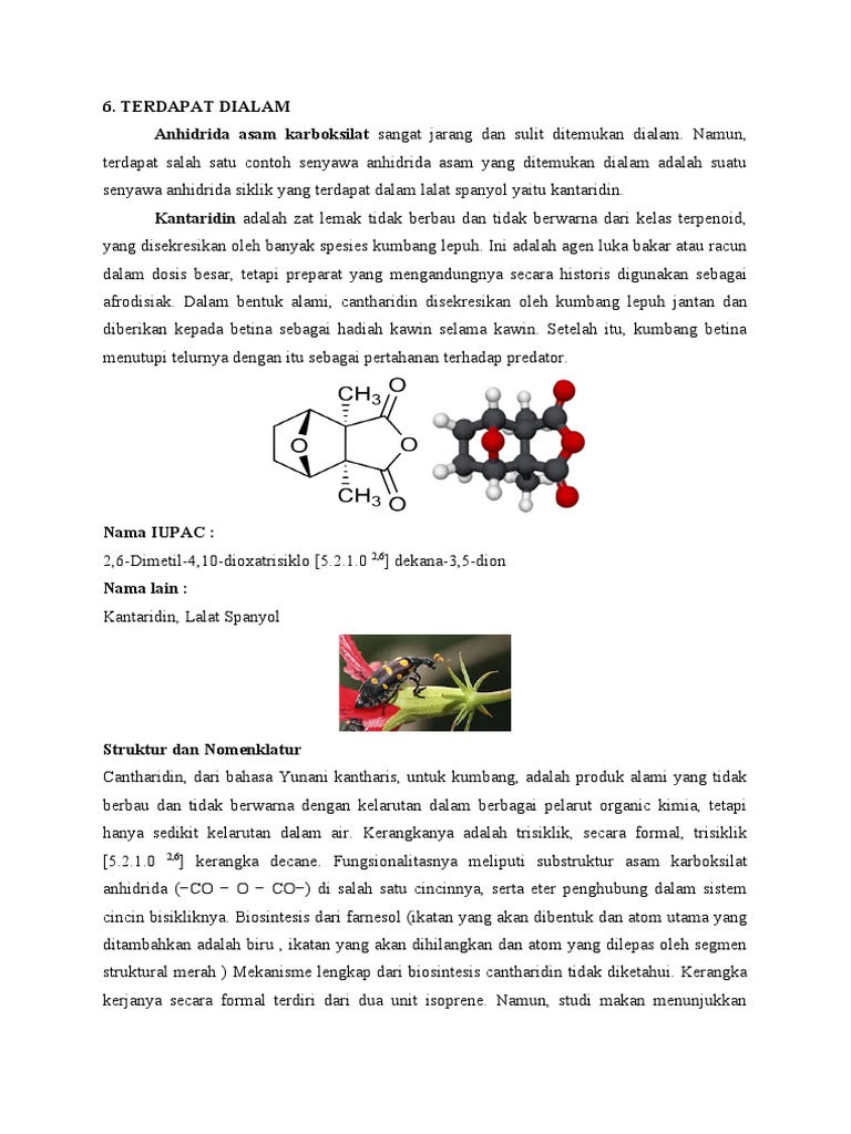 Anhidra Asam Karboksilat | PDF