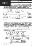 Micro-Motion Calibration Sheet | PDF