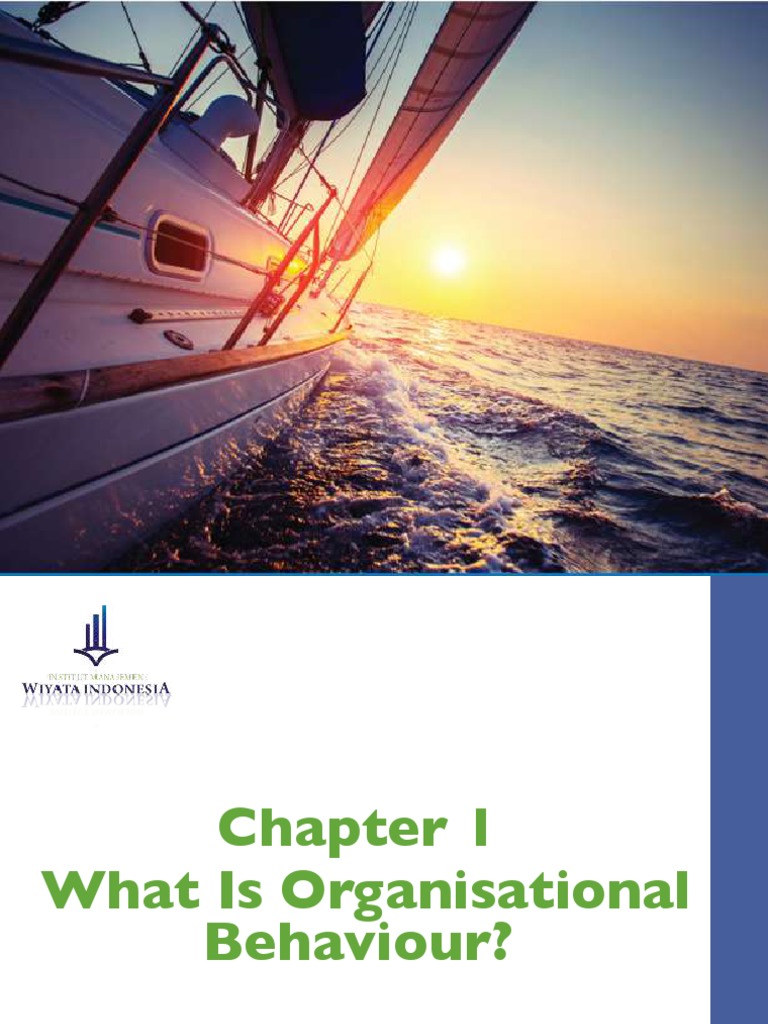 20200401171209-CHAPTER 1 - WHAT IS ORGANISATIONAL BEHAVIOUR ...