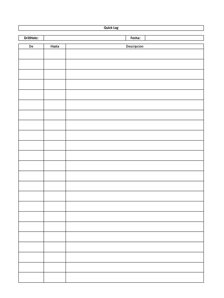 Formato QuickLOg | PDF