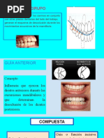Curva de Spee y Wilson | PDF | Ortodoncia | Odontología