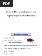 Cockroach Ncert | PDF