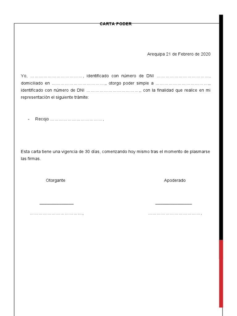 Carta Poder Simple | PDF