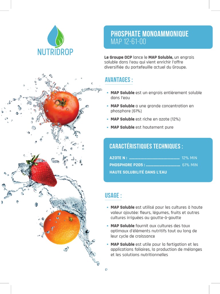 Fiche-Map Soluble FR | PDF | Phosphate | Fertilisant