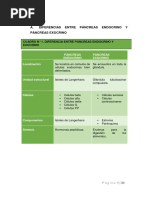 Histología del Páncreas: Exocrino y Endocrino | PDF | Páncreas | Glándulas
