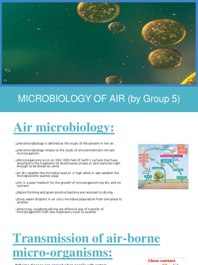MICROBIOLOGY OF AIR (By Group 5) PDF | PDF | Fungus | Growth Medium