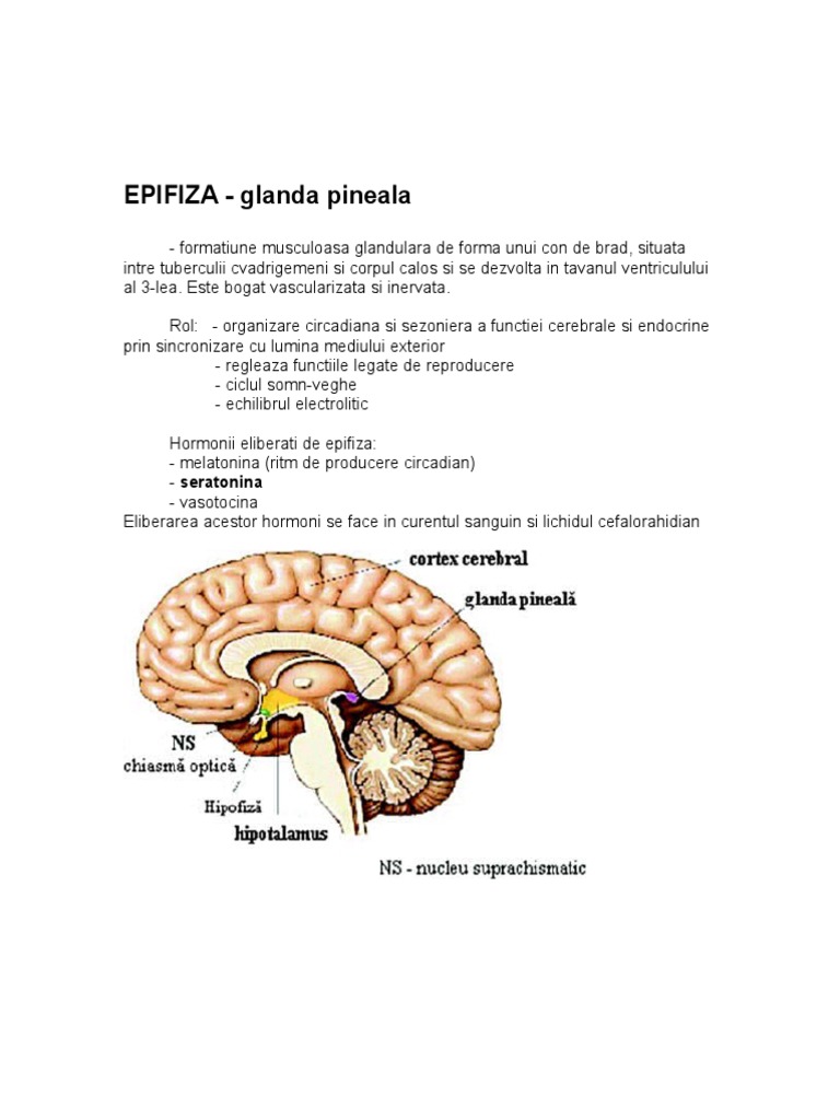 EPIFIZA