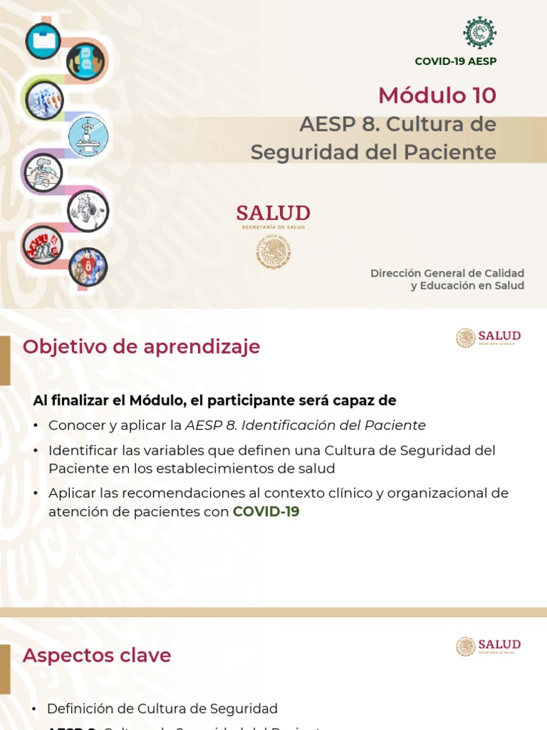 Aesp 10 | PDF | Seguridad del paciente | Evaluación