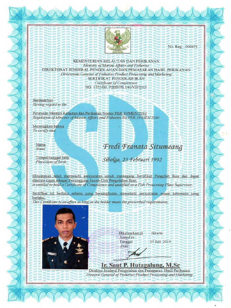 Contoh SPI (STP) | PDF