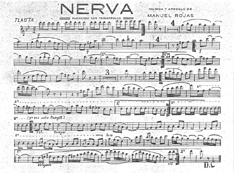 Rojas, M. - Nerva. Pasodoble Con Fandanguillo 01 Flauta | PDF