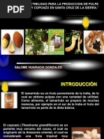 Proyecto de Mermeladas | PDF | Oferta (economía) | Mercado (economía)