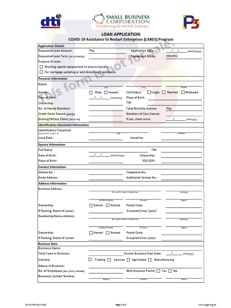 P3 CARES Application Form PDF | PDF | Loans | Expense