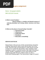 Hospital Room Tariff Details 2022 | PDF | Couch | Intensive Care Unit