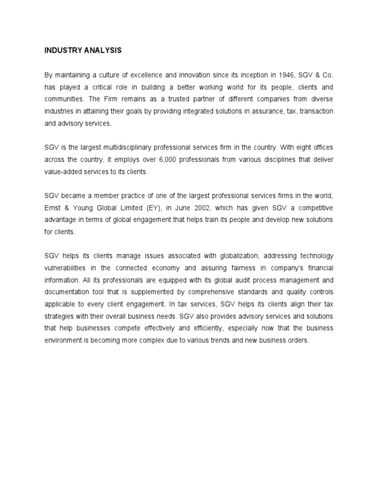 SGV & Co.: Leading Professional Services | PDF