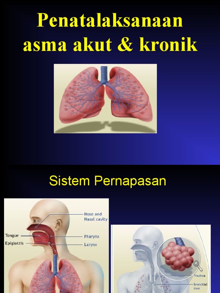 Penatalaksanaan Asma Akut Kronik | PDF