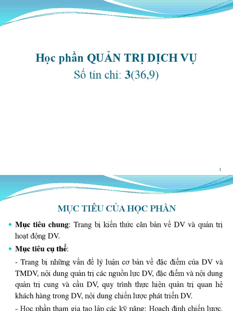 BGĐT QTDV | PDF