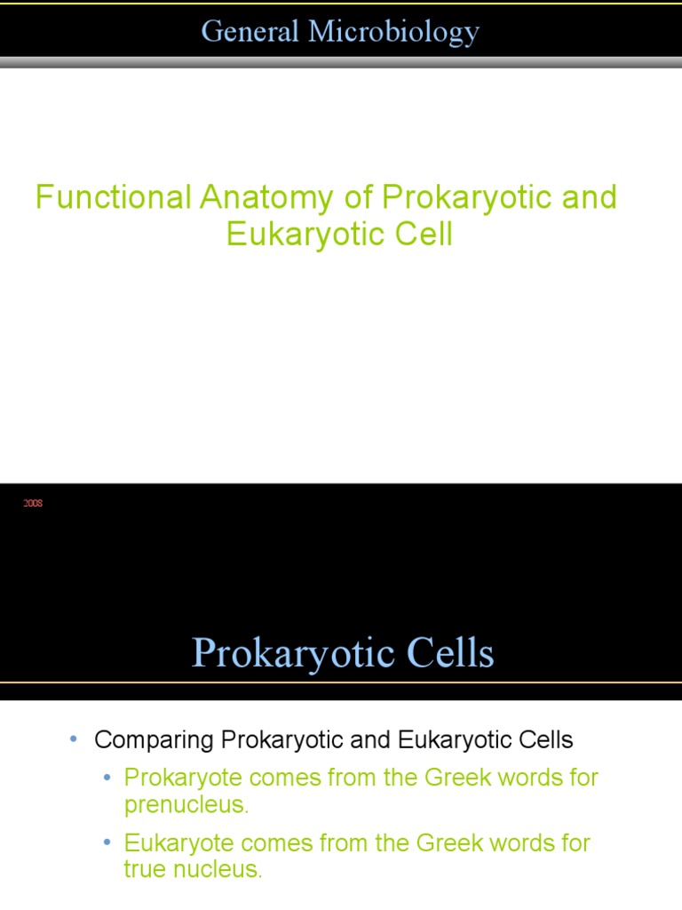 Prokaryotic vs Eukaryotic Cell Anatomy | PDF | Cell Membrane | Cytoplasm