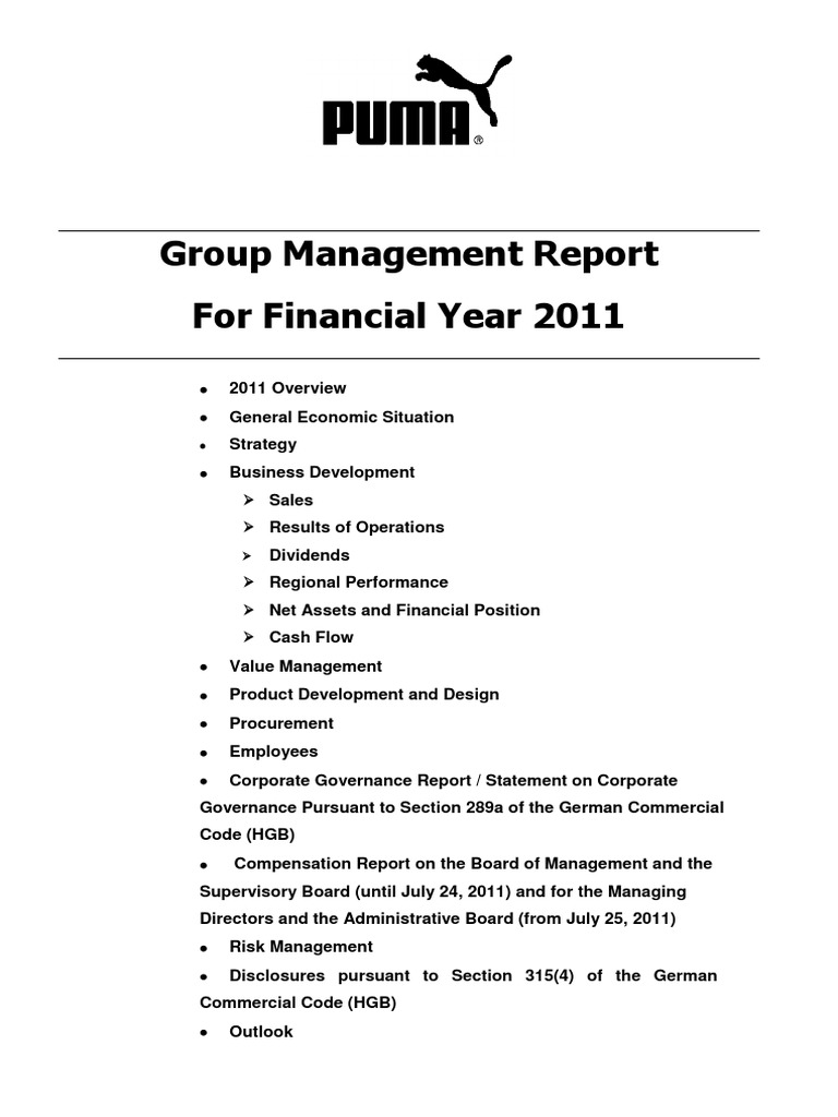 Puma Financial Statements 2011 PDF | PDF | Free Cash Flow | Dividend