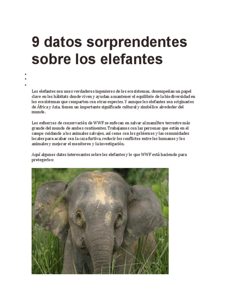 9 Datos Sorprendentes Sobre Los Elefantes Pdf África Fauna Silvestre