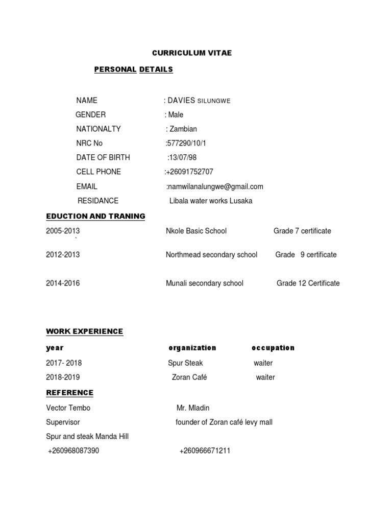 Zambian CV of Davies Silungwe | PDF