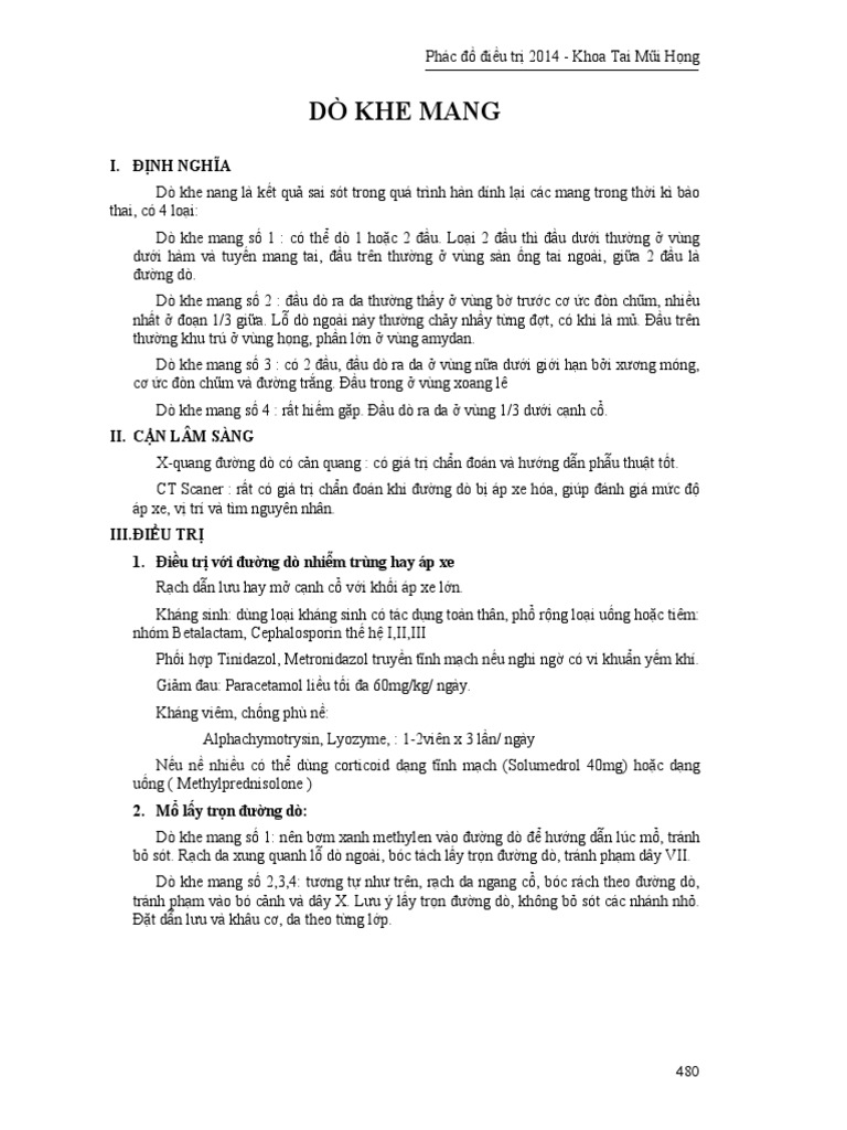Do Khe Mang | PDF