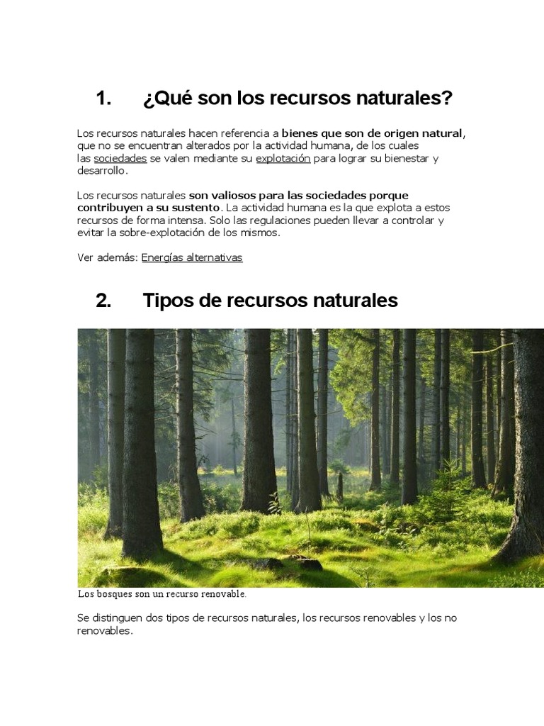 Qué Son Los Recursos Naturales | PDF | Energía renovable | Ciencias ...